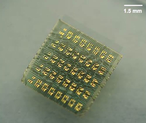 Foldable And Stretchable, Silicon Circuits Conform To Many Shapes