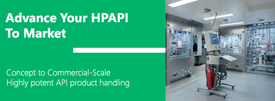 Comprehensive Capabilities To Successfully Lead Development And ...