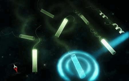 Bio-Inspired Microrobots Shapeshift Move With Magnets