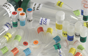 Versatile, Chemically Inert Laboratory Labels