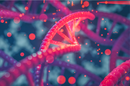 CHO Residual DNA Quantitation