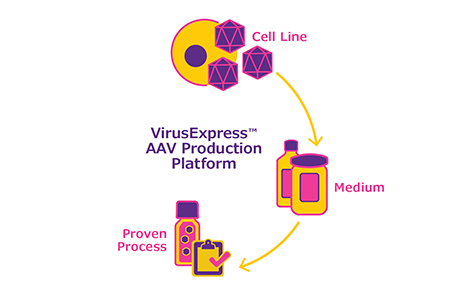 VirusExpress 293 AAV Production Platform