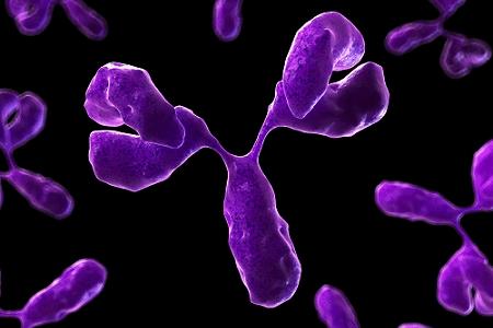 Integrated | Connected Downstream Processing Of mAbs With Resolute ...