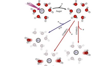Mechanism For Radiation Damage Identified