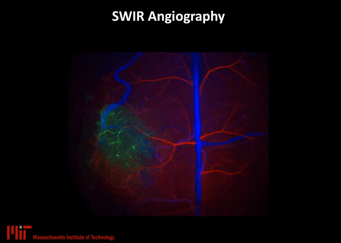 MIT Researchers Use Deep-Cooled Princeton Instruments FPA Camera To ...