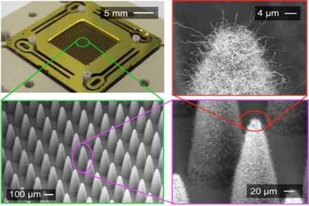 Mass Spectrometry In Your Hand