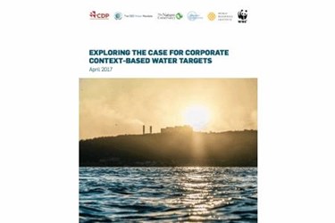 Exploring The Case For Corporate Context-Based Water Targets