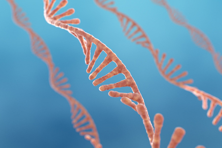 mRNA Purification Using Anion Exchange Chromatography At Ambient ...