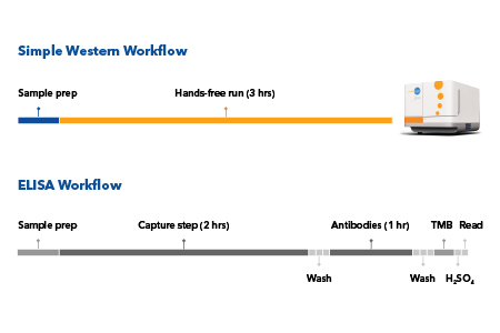 Automated And Sensitive Benzonase Quantification In Whole-Cell Lysates