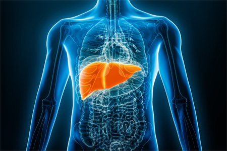 Liver Bio-Kit