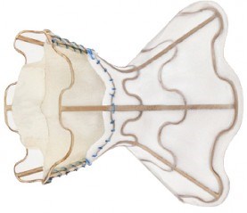 JJ Leads 28M Investment In Israeli Cardiac Implant