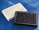 Application Note: 96 Well Streptavidin-Coated Microplates