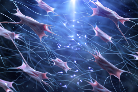 Are Fibroblasts Overlooked