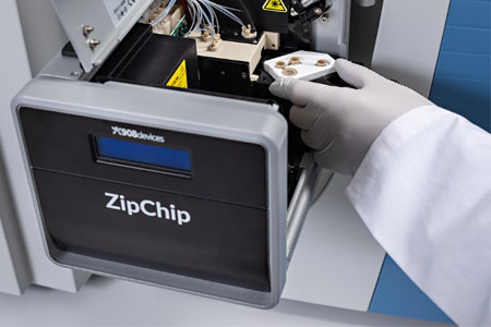 ZipChip: Protein Characterization And Metabolomic Analysis
