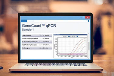 Converting qPCR Results To Resemble Culture Method Results