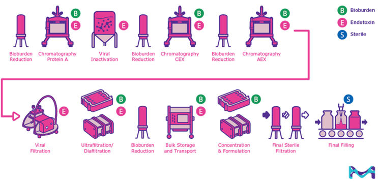 A Holistic Approach To Bioburden Control In Downstream Processing