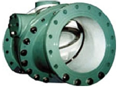 Tilting Disc Check Valve
