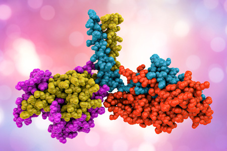 Explore Protein Interactions Beyond Affinity To Boost Your Academic ...