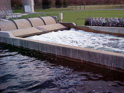 PMSL’s Aero-Brush™ Rotor - Surface Aeration System