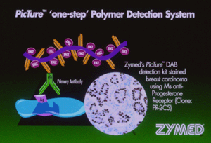 Polymer IHC Detection System