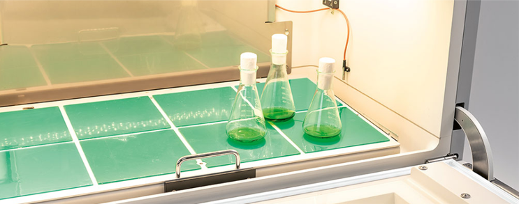 Multitron Incubation Shaker- For Uninterrupted 24/7 Operation And ...