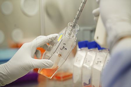 Media Formulation And Development CDMO Services