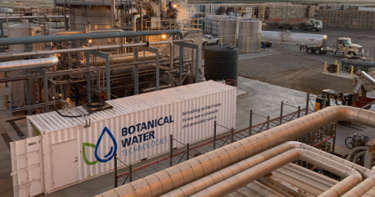 Blue Investments, Green COP27 Returns