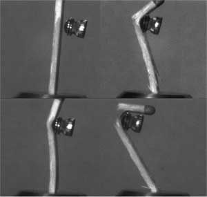 SIM Multi-Channel Framing Camera Captures New Level Of Spatial Analysis