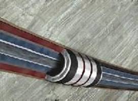 Reelwell Introduce New Drilling Method Helps Getting More Oil Out