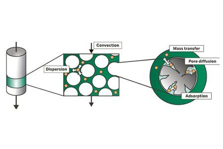 How Fluid Flow Effects Within A Chromatography Column Are Used By ...
