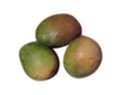 Pango Mango Fruit
