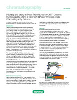Bulletin: Packaging and Slurry-in-Place Procedures for CHT Ceramic ...