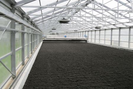 Solar Active Dryer SRT