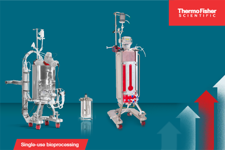 Part 1 Intuitive Bioprocess Scale-Up From Bench Scale To Pilot Scale