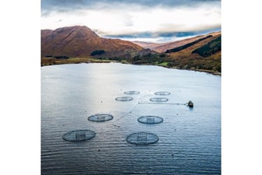 The Importance Of Algal Monitoring In Finfish Aquaculture