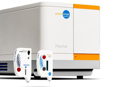 Assessment Of Product Quality In Upstream Process Development Using ...