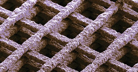 3-D Printed Graphene Shows Potential For Tissue Engineering