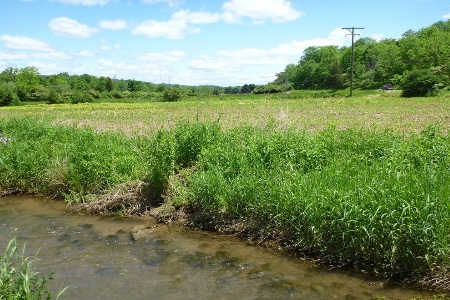 Rapid Version Of Assessment Tool Provides Easier Way To Monitor Wetland ...