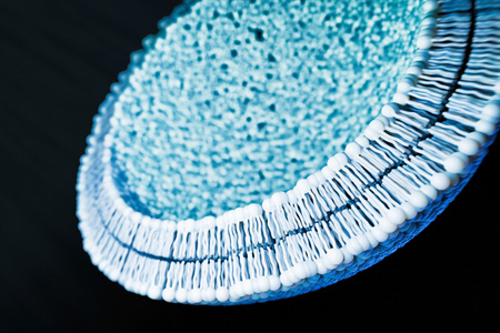 Engineering The Next Generation Of Lipid Nanoparticles For Advanced ...