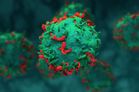CAR Detection Reagents - Applications For Flow Cytometry Magnetic Cell ...
