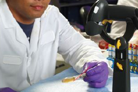 Peripheral Blood Mononuclear Cell Processing Services