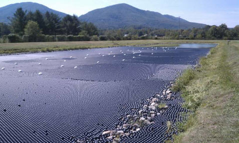 The Effect Of Bio-Domes And Bio-Shells On Algae