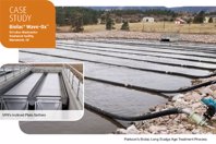 Wastewater Disinfection