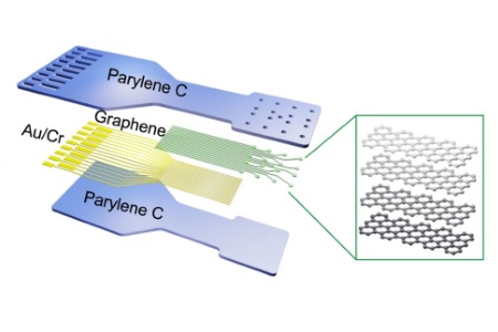 Graphene Sensors Stimulate Neurons Optically And Electronically
