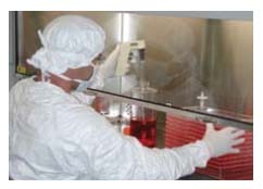 cGMP Cell Banking By Florida Biologix