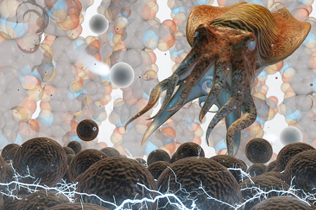 Squid-Powered Edible Medical Devices