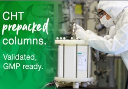 CHT Prepacked Process-Scale Columns
