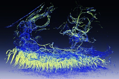 Unraveling The Light Of Fireflies