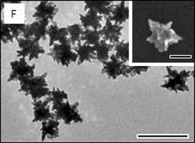 Gold Nanostar Is Shape Of The Future