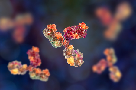 mAbRecombinant Protein Lot Release Package